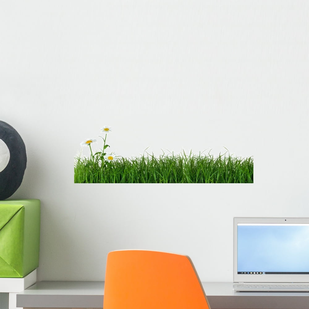 Green Grass and Daisy Wall Decal by Wallmonkeys Peel and Stick Graphic ...