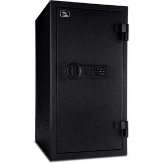 Paragon Products ParaGuard Deluxe Electric and Key Lock Safe - Home or ...