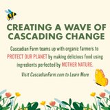 Cascadian Farm Organic Mini Fruitfuls Breakfast Cereal, Non-GMO, 11.1 ...