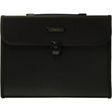 Wilson Jones Poly Expanding Brief File, 5.25 Expansion, 13 Pocket and ...