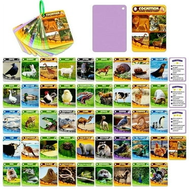 Learn & Live Cards Fishing - Walmart.com
