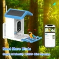 Luxcidy Smart Bird Feeder with Camera Solar Powered, Wireless Outdoor ...