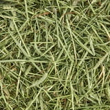 Kaytee Forti-Diet All Natural Timothy Hay , 48 ounce - Walmart.com