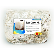 s Mane Mushroom Plug 100 Plugs ~ Crab Flavor ~ Mycelium Log Grow Kit ...