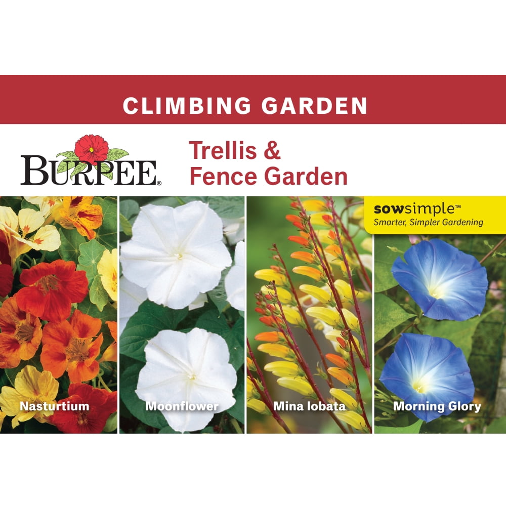 Burpee Trellis & Fence Garden Starter Garden Flower Seed Collection, 1 ...