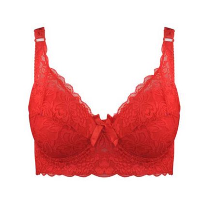 Cheers Fashion Sexy Lace Push-Up Brassiere Women Bra Wrapped Chest ...