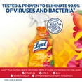 Lysol Brand New Day Bathroom Cleaning Foamer Aerosol, Mango & Hibiscus ...