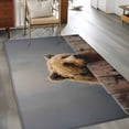 Bear 3'x5' Rug for Bedroom Foot of Bed Small Living Room, Fog Misty ...