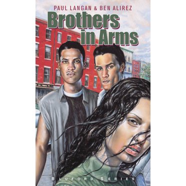 Bluford Summer of Secrets: #10, (Hardcover) - Walmart.com