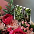3drose, Tropical Tree Trunk Base, 6 Greeting Cards with Envelopes ...