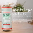 - Sal Suds Biodegradable Cleaner (32oz, 2-Pack) - Concentrated Purpose ...