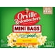 Orville Redenbacher's SmartPop! Butter Microwave Popcorn, Mini Bags, 1. ...
