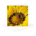 3drose, Honey Bee Collecting Pollen on a Gazania Flower, 6 Greeting ...