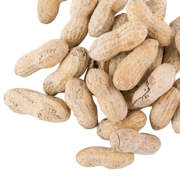 Hampton Farms In-Shell Peanuts 3 Ounce Bag 48 Count Salted Dry Roasted ...