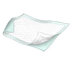 Disposable Incontinence Bed Pads Size 23x24 (200/case) - Walmart.com ...
