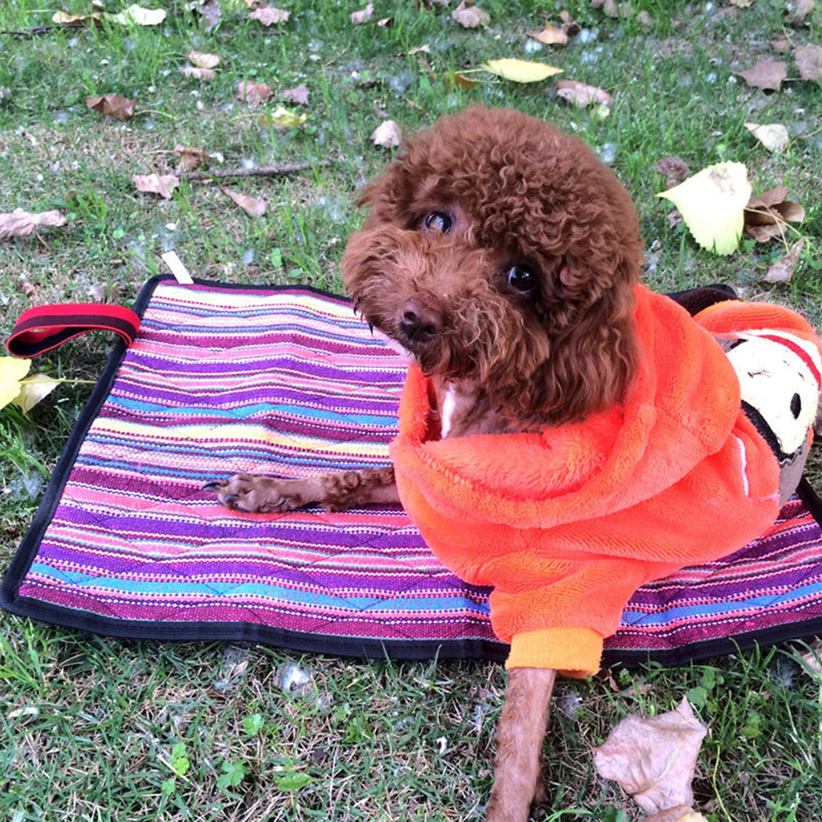 Folding Camping Mat Outdoor Beach Picnic Lightweig Waterproof Sleeping ...