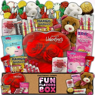 Fun Flavors Box College Freshman Survival Kit Snack Care Package (28 ...