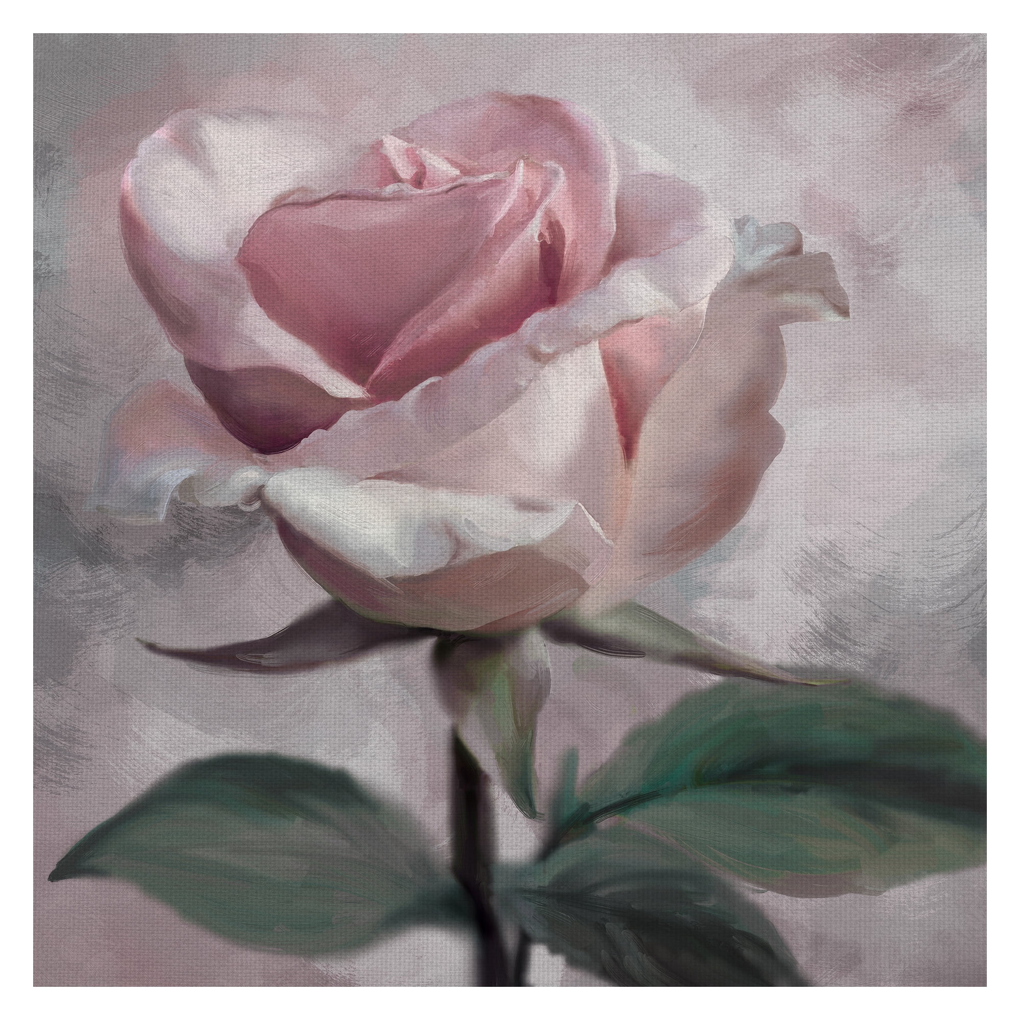 Masterpiece Art Gallery Rose Glow II Pink By Studio Arts Canvas Art ...
