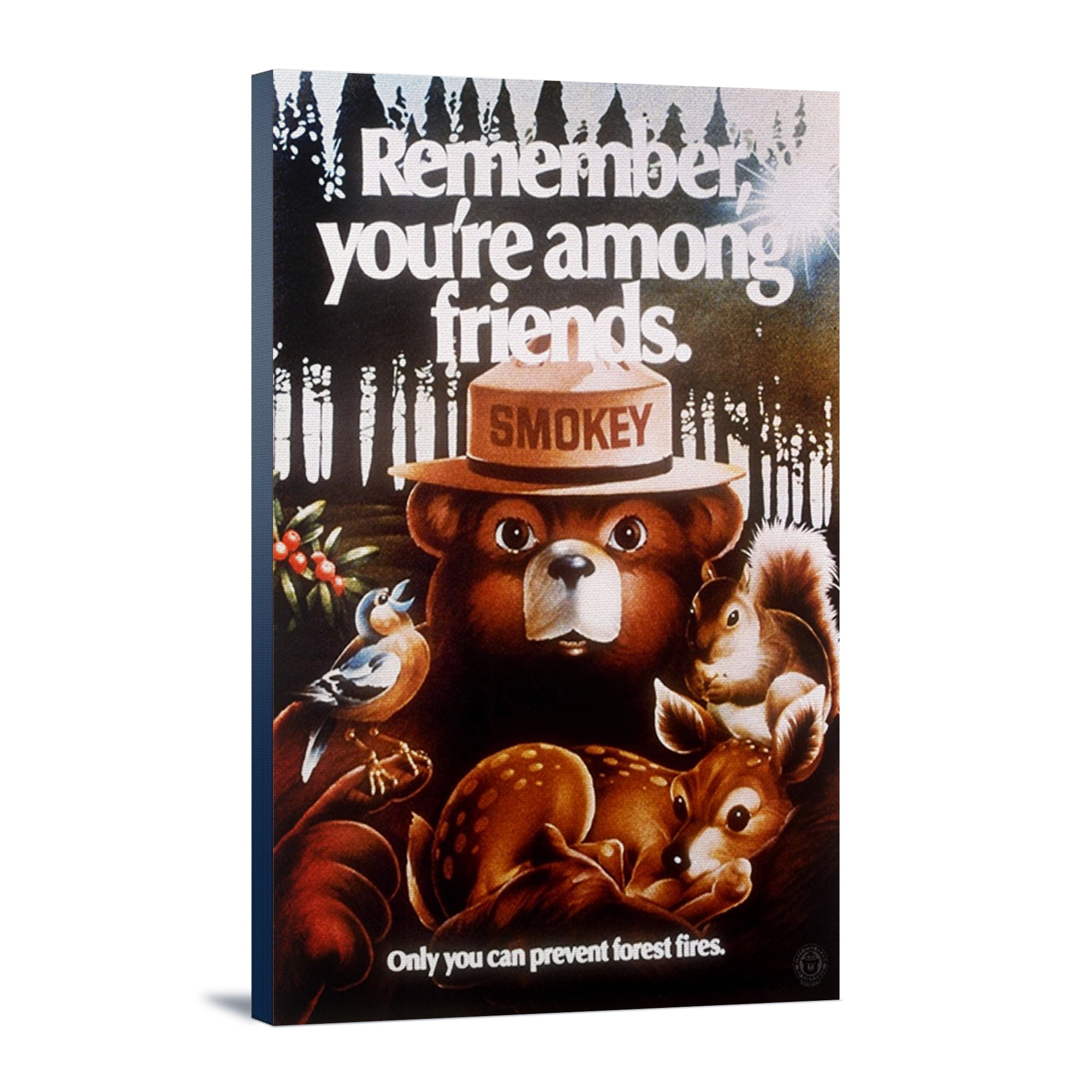 Smokey Bear Remember Youre Among Friends Officially Licensed Vintage