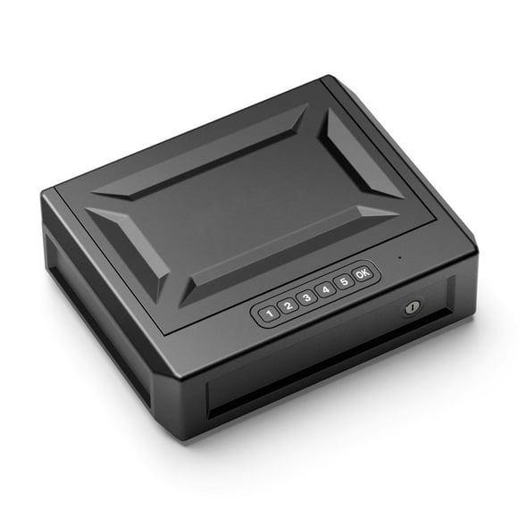 Lock Box For Handguns