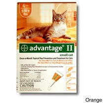 Free Shipping! Advantage Flea Control for Cats 1-9 lbs 4 Month Supply ...