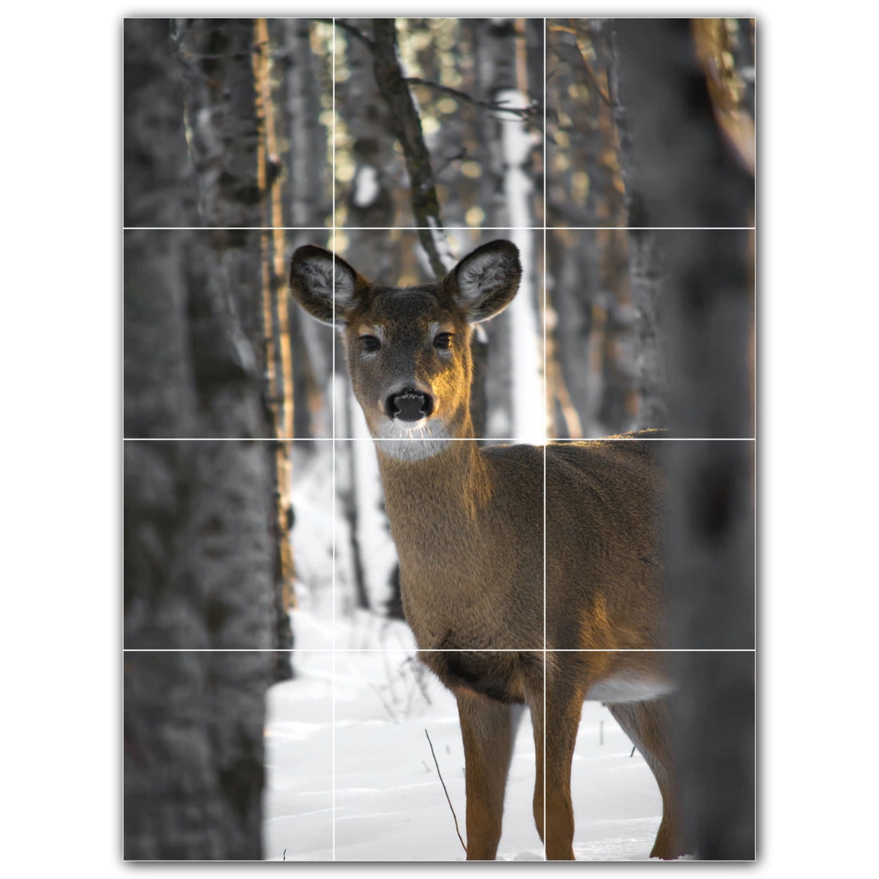 Picture-Tiles.com: Deer Ceramic Tile Wall Mural WAL500450-34M. 18"W x ...