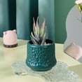 Nordic Style Plastic Flowerpot - Convenient Bar Decor - Decorative ...