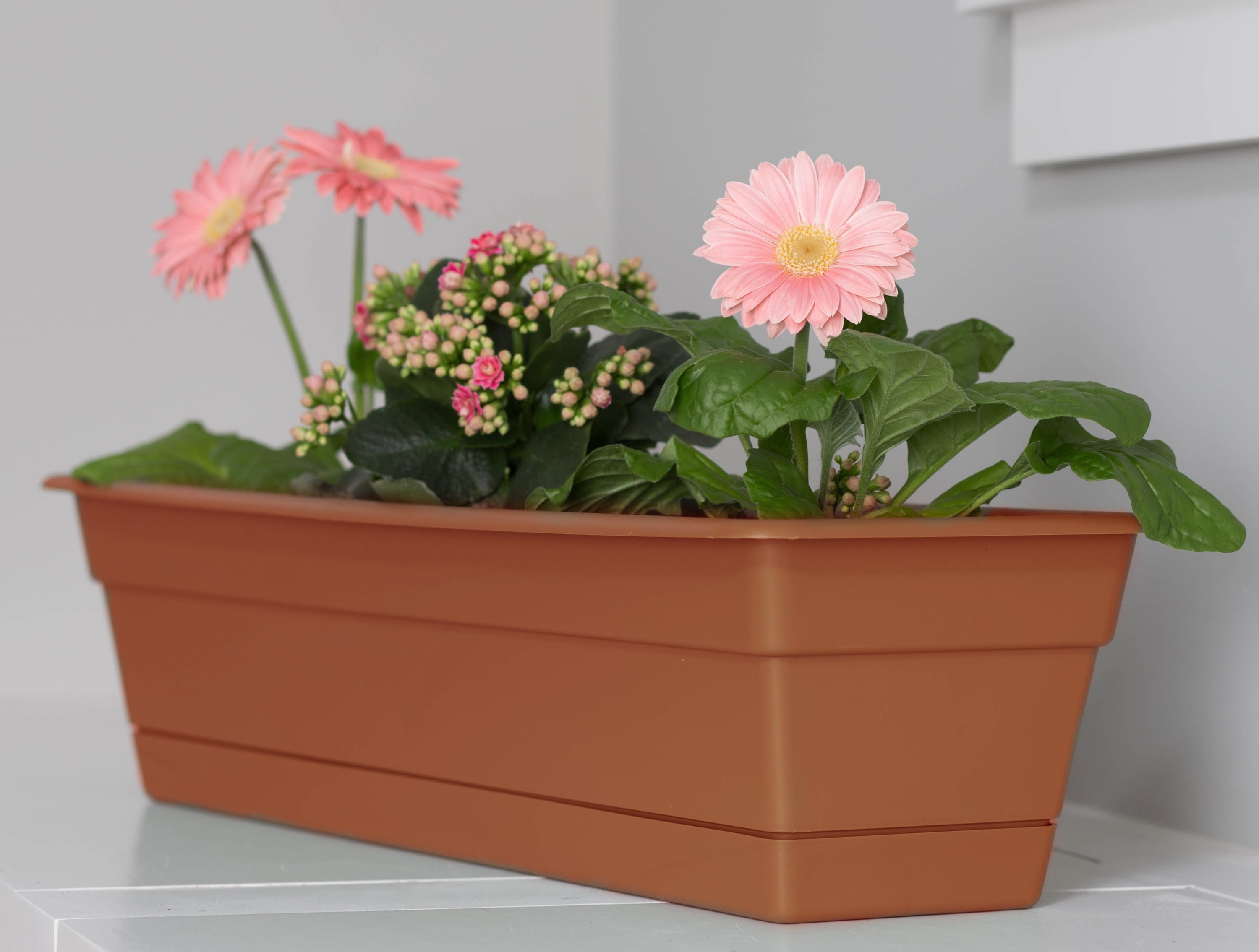 Bloem Dura Cotta Window Box Planter w/Tray 30" Terra Cotta - Walmart ...
