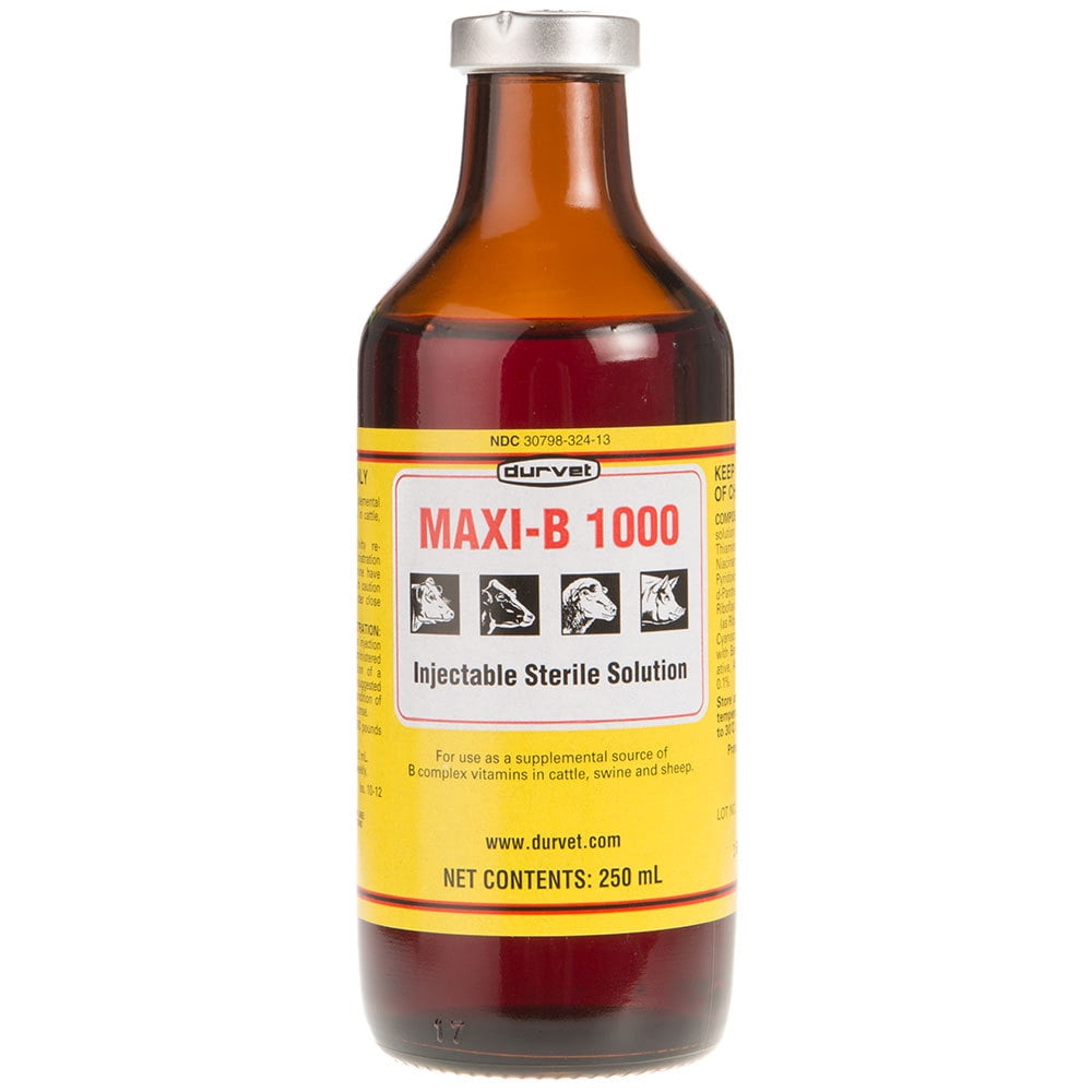 Durvet Vitamin Maxi B 1000 250 mL 250ML - Walmart.com