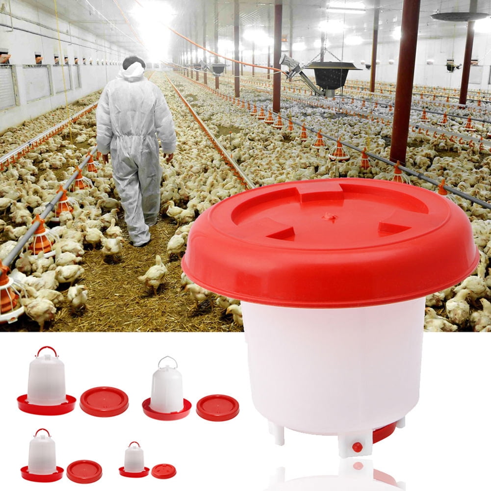 Visland 1Pcs Little Chicken Plastic Hanging Poultry Feeder,Heavy Duty ...