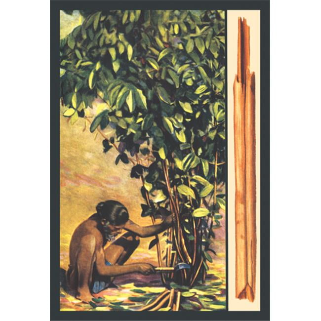 Buy Enlarge 0-587-08333-6P20x30 Cinnamon- Paper Size P20x30 - Walmart.com