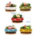 Ceramic Succulents Planter Bowl Round Shallow Desktop Container for ...