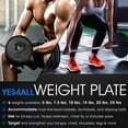 Yes4All 1-inch Cast Iron Weight Plates for Dumbbells – Standard Weight ...