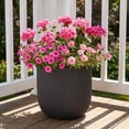 16 Inch Handmade Concrete Outdoor Planter - Classic Striped Design ...