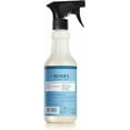 Clean Day All-Purpose Cleaner Spray Rain Water Scent, Plant-Derived ...