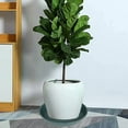 3 Pack of 25 26 inch Plant Saucer (22.7 Inch Base), 4.2" Depth, Large ...