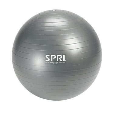 Gaiam Restore Strong Back Stability Ball Kit - Walmart.com