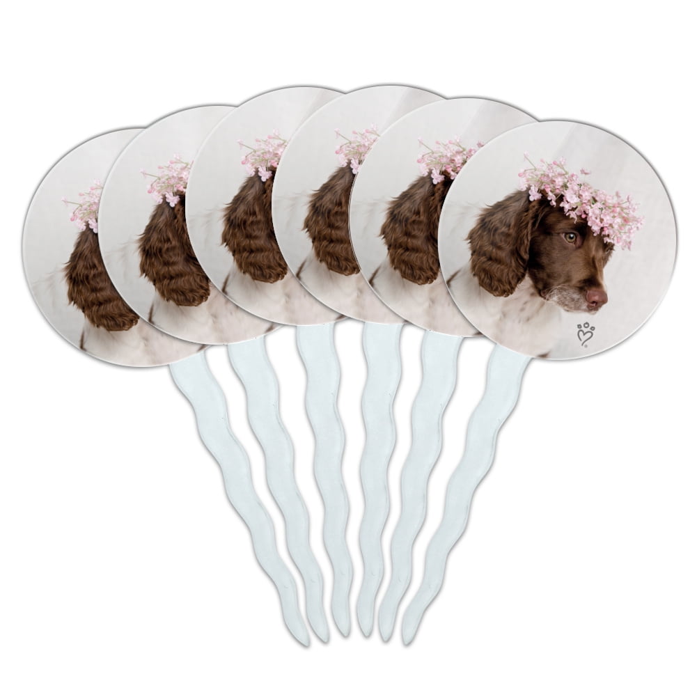 Springer Spaniel Dog Flower Blossom Tiara Cupcake Picks Toppers ...