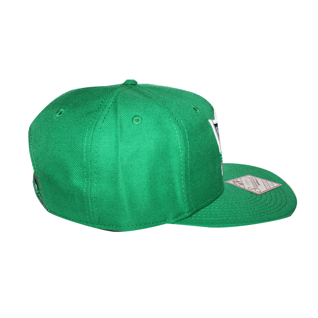 Bioworld Licensed Green Arrow Snapback Hat