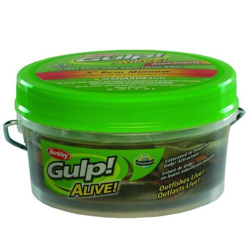 Click here for Berkley Gulp Alive 3 Minnow Assortment prices