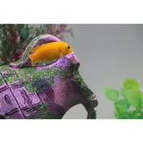 Katieovy Ancient Greek Leaning Vase Fish Tank Decorations Accessories ...