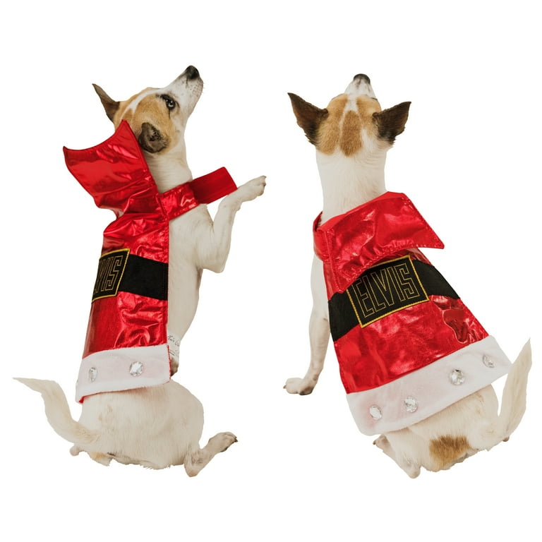 Dogs In Christmas Outfits