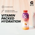 Gatorade Fit Tropical Mango Sports Drink, 16.9 fl oz, 1 Count Bottle ...