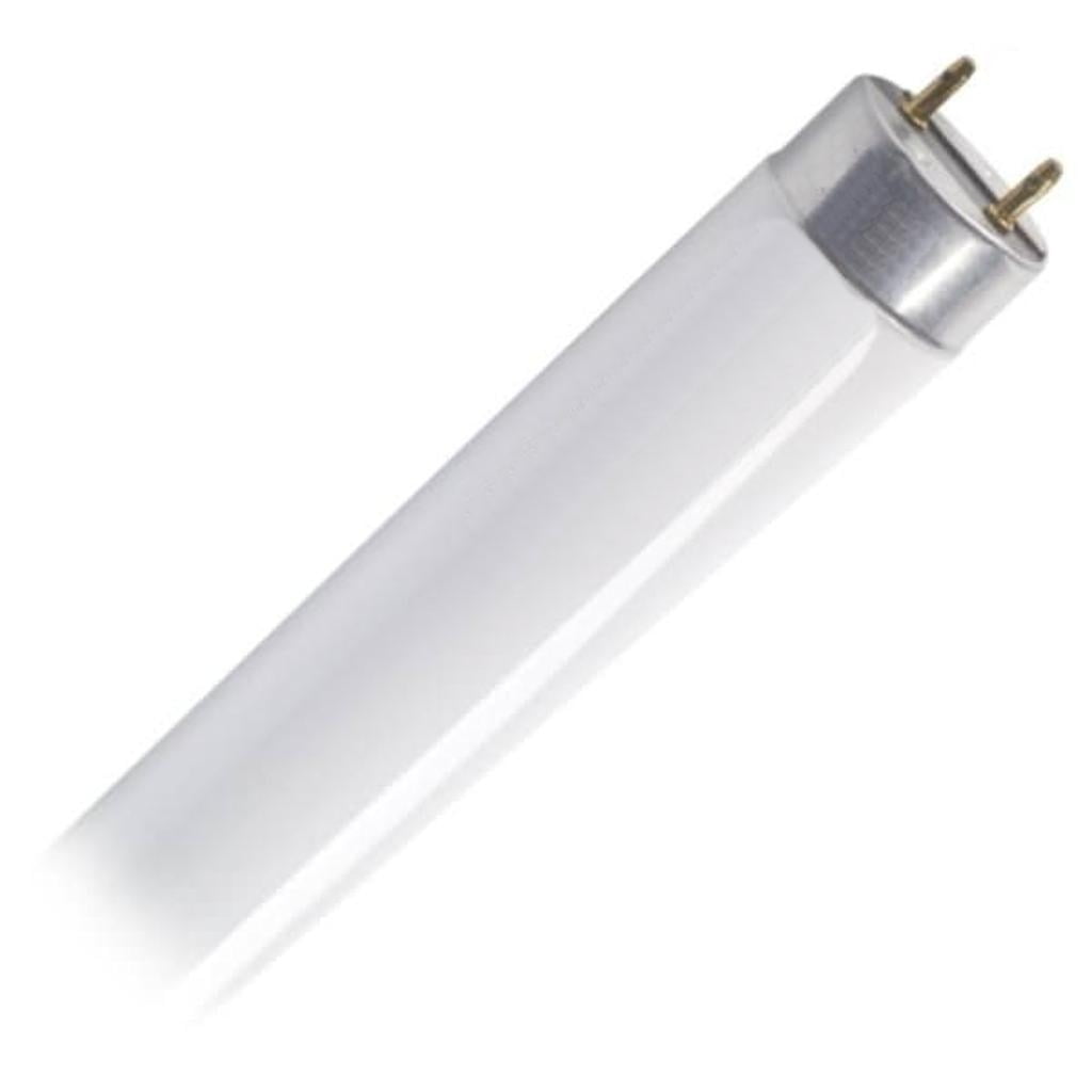 Keystone 00643 - KTL-F32T8-865-HP 4 Foot Plus Straight T8 Fluorescent ...