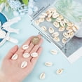 1Box 48Pcs 2 Colors Natural Cowrie Shell Pendants Platinum & Real 18K ...