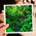 3drose, Greenery Along the Kalalau Trail on the Na Pali Coast of Kauai ...