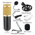 BM800 Condenser Studio Mic Kits: Starter Set, Professional Setup, Music ...