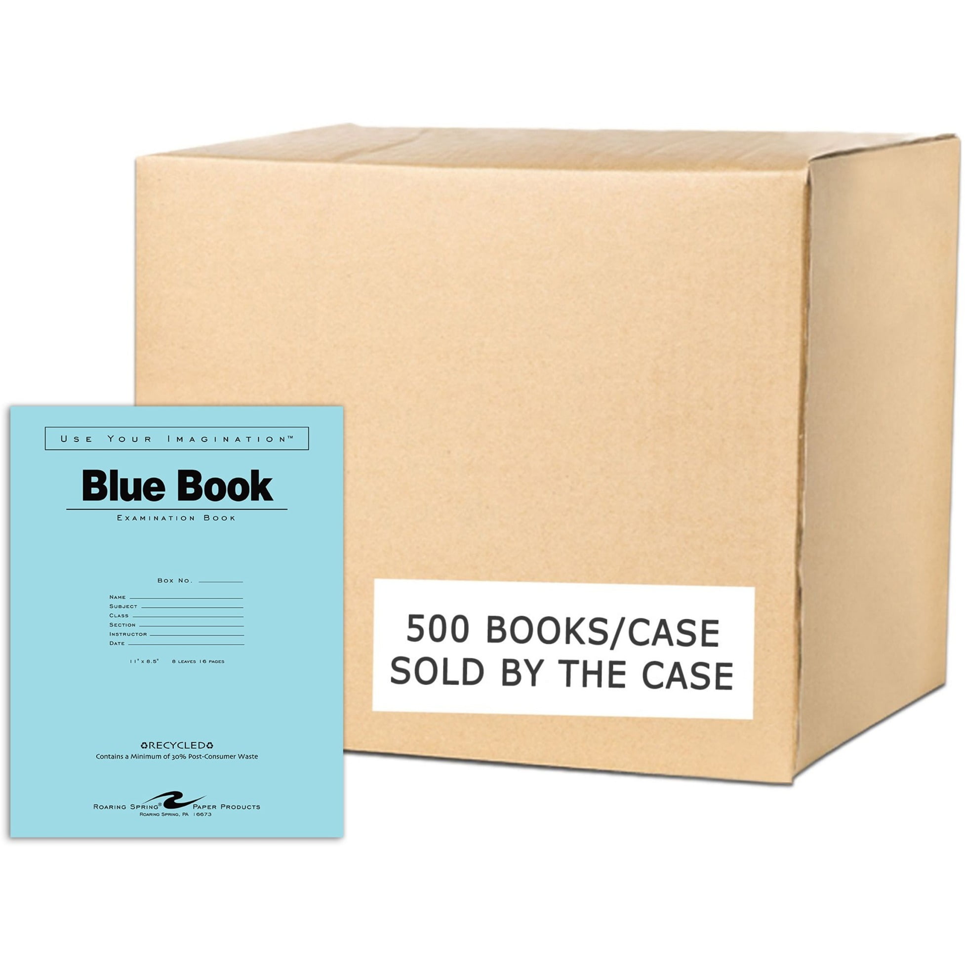 Buy Roaring Spring Recycled Test Blue Exam Book, 1 Case (500 Total ...