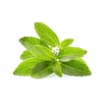 50 Stevia Rebaudiana Sweetleaf Herb Seeds - Natural Sweetener - Walmart.com