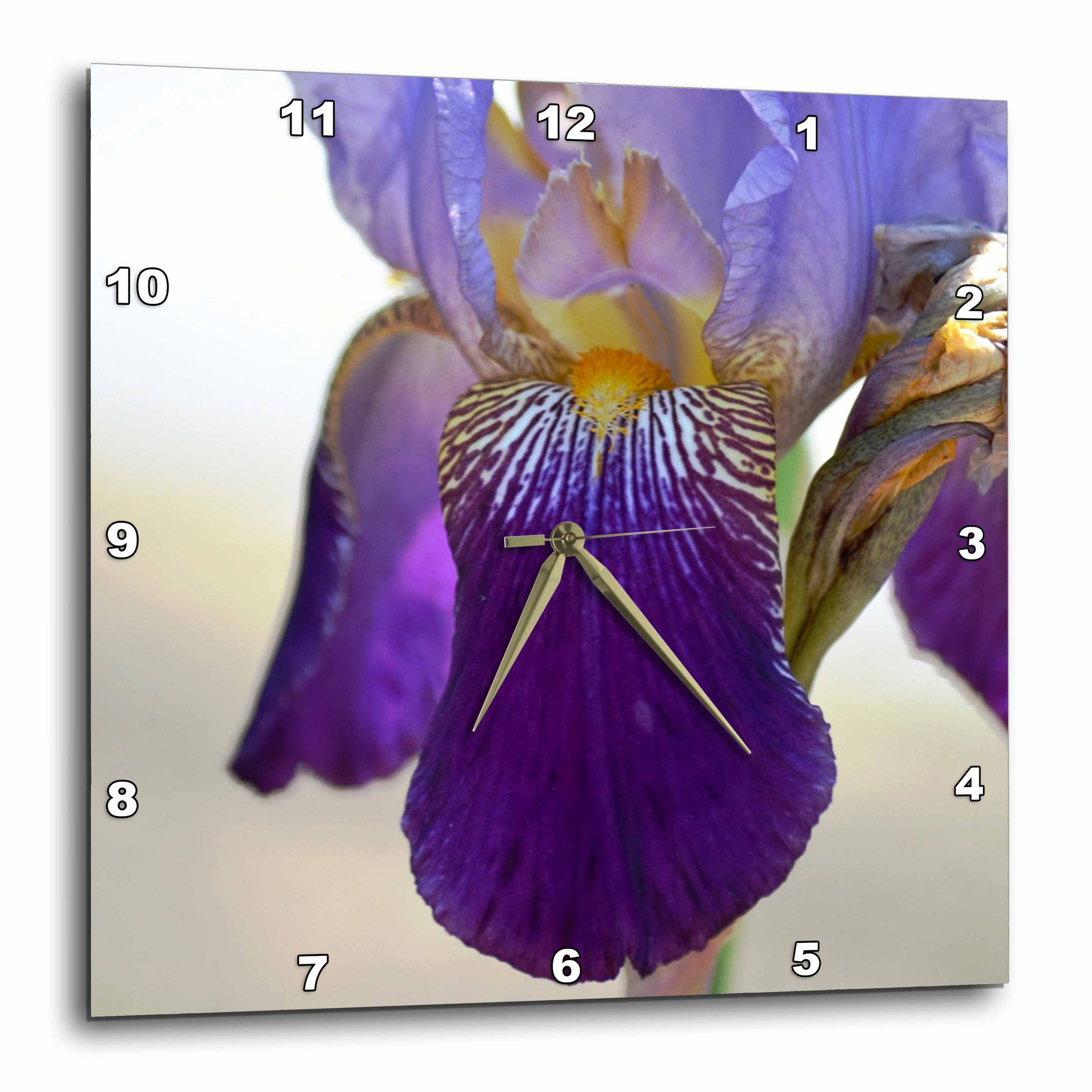 3dRose, Pretty Purple Iris Petal - Spring Flowers - Photography, 13x13 ...